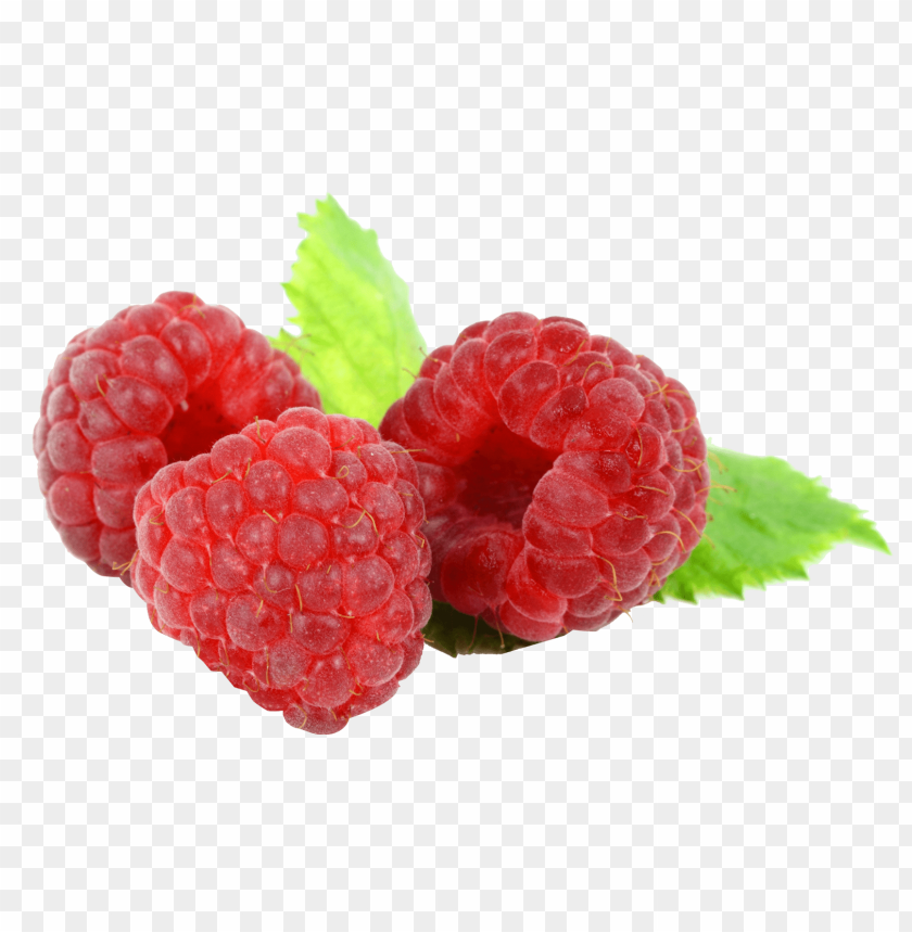 Free download | HD PNG raspberry PNG images with transparent ...