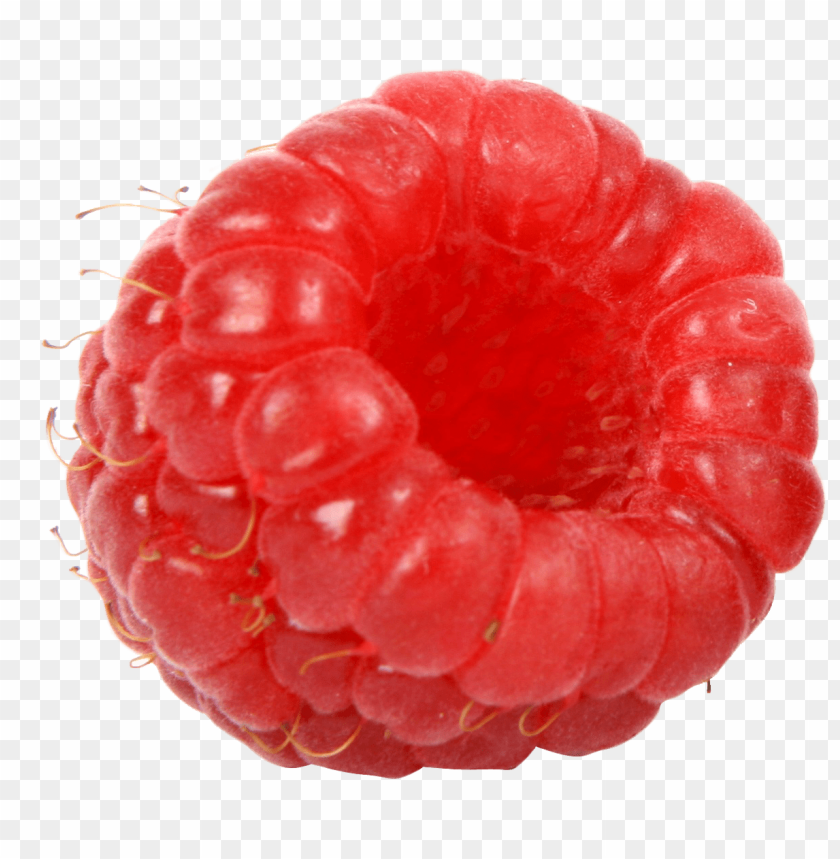 Free download | HD PNG raspberry PNG images with transparent ...