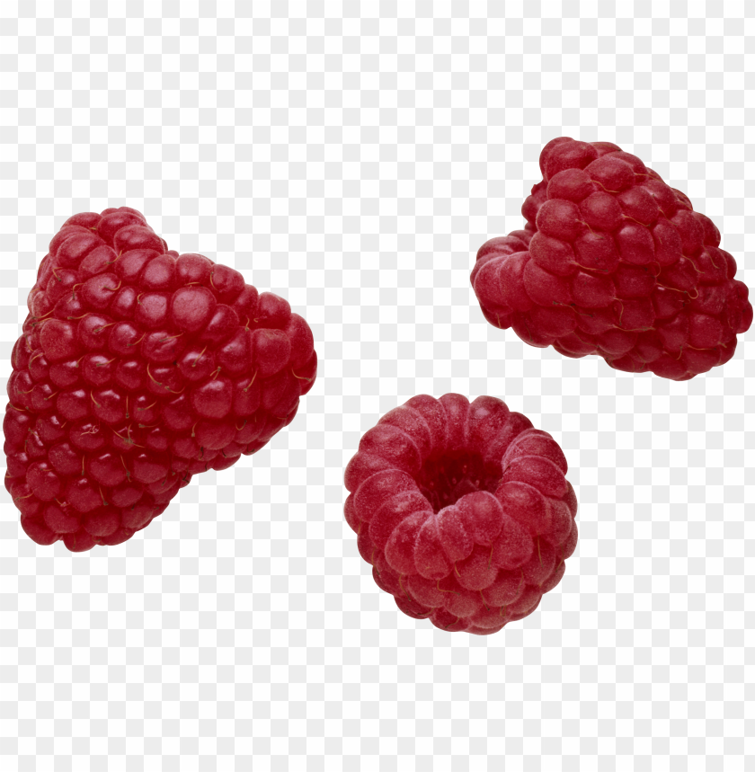 Free download | HD PNG raspberry PNG images with transparent ...