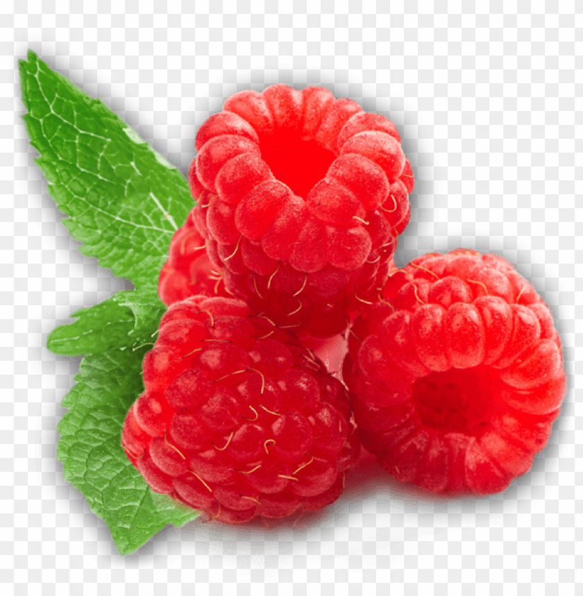 Free download | HD PNG raspberry PNG images with transparent ...