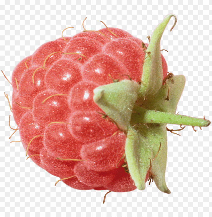 Free download | HD PNG raspberry PNG images with transparent ...