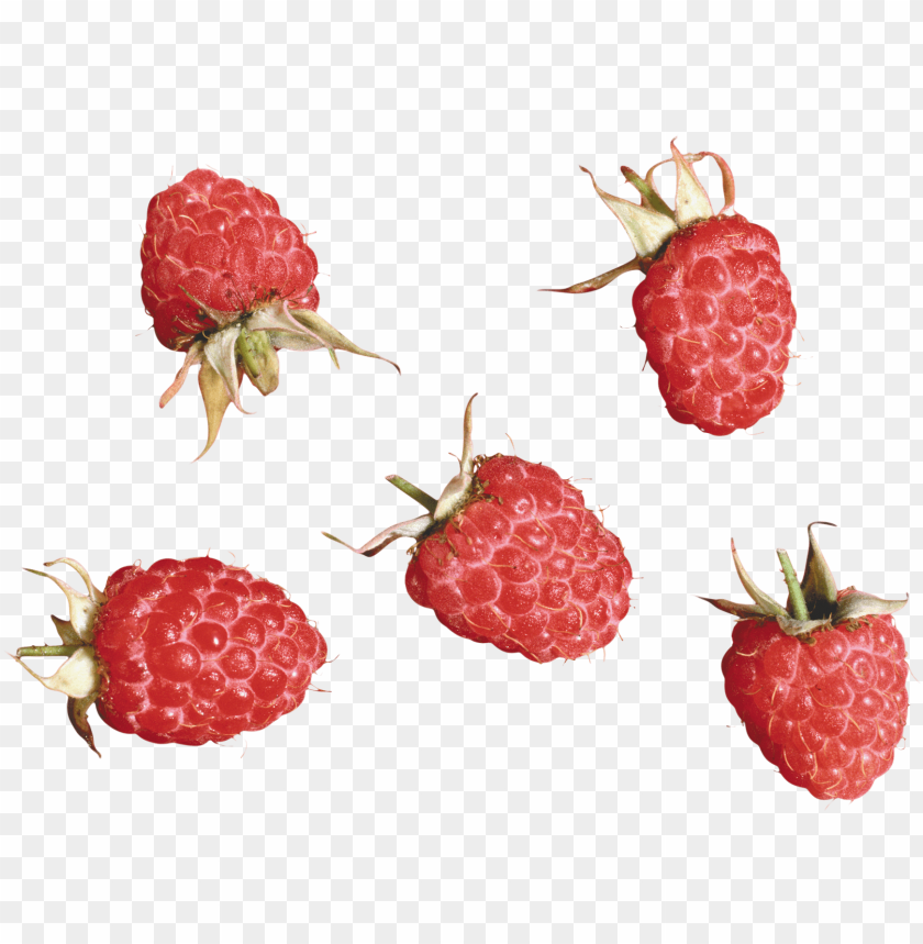 Free download | HD PNG raspberry PNG images with transparent ...