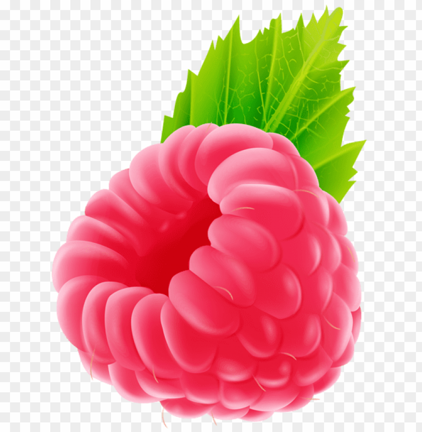 Free download | HD PNG pink ripe raspberry with green leaves | TOPpng
