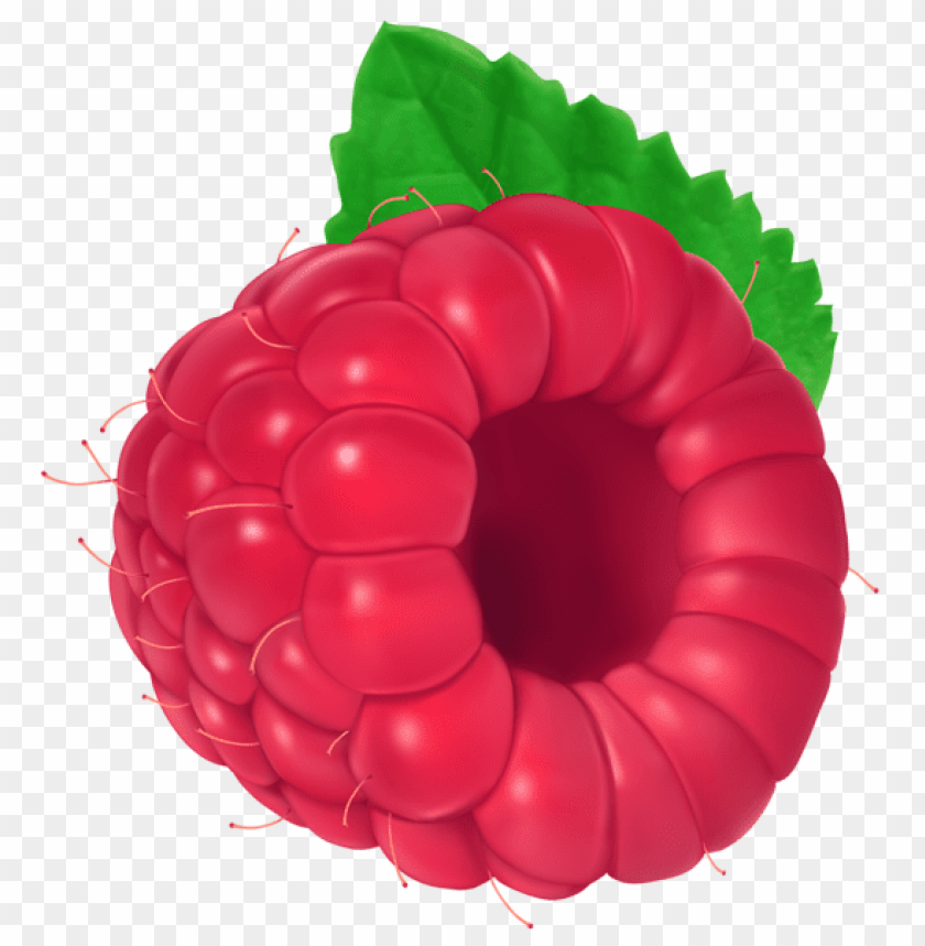 Free download | HD PNG single raspberry with green leaf and detailed ...