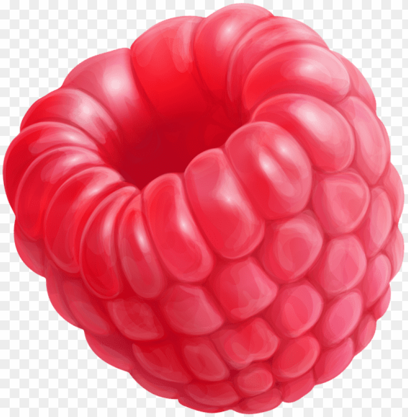 Free download | HD PNG open red raspberry with detailed design | TOPpng