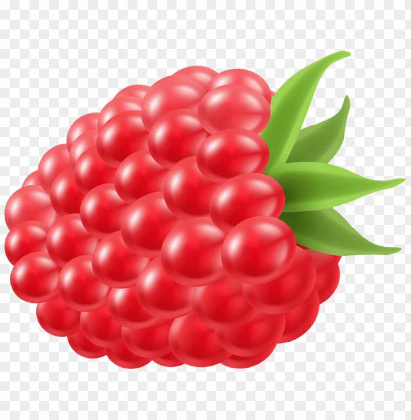 Free download | HD PNG bright red raspberry close up | TOPpng