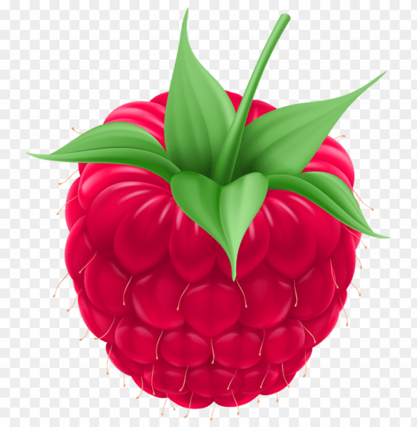Free download | HD PNG single raspberry with green leaf | TOPpng