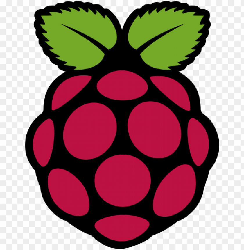 Free download | HD PNG raspberry pi logo PNG transparent with Clear ...