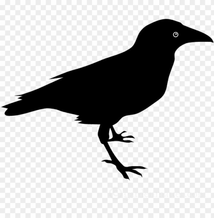 Free download | HD PNG raven PNG transparent with Clear Background ID ...