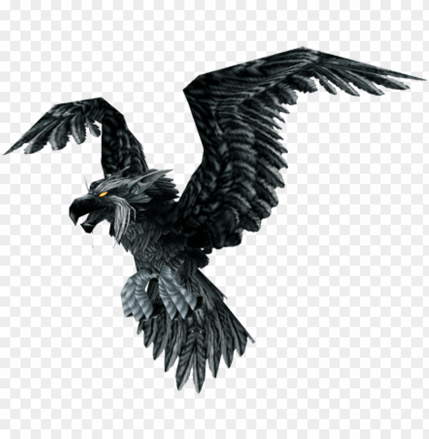Free download | HD PNG raven bird PNG transparent with Clear Background ...
