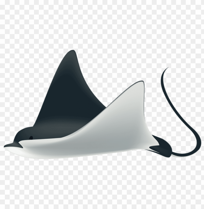 Free download | HD PNG ray fish clipart png photo - 53283 | TOPpng