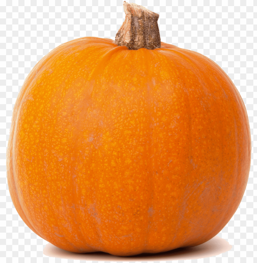 Free download | HD PNG real pumpkin transparent png pumpkin clipart ...
