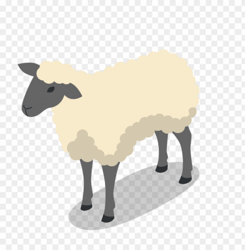 Free download | HD PNG real sheep png PNG transparent with Clear ...