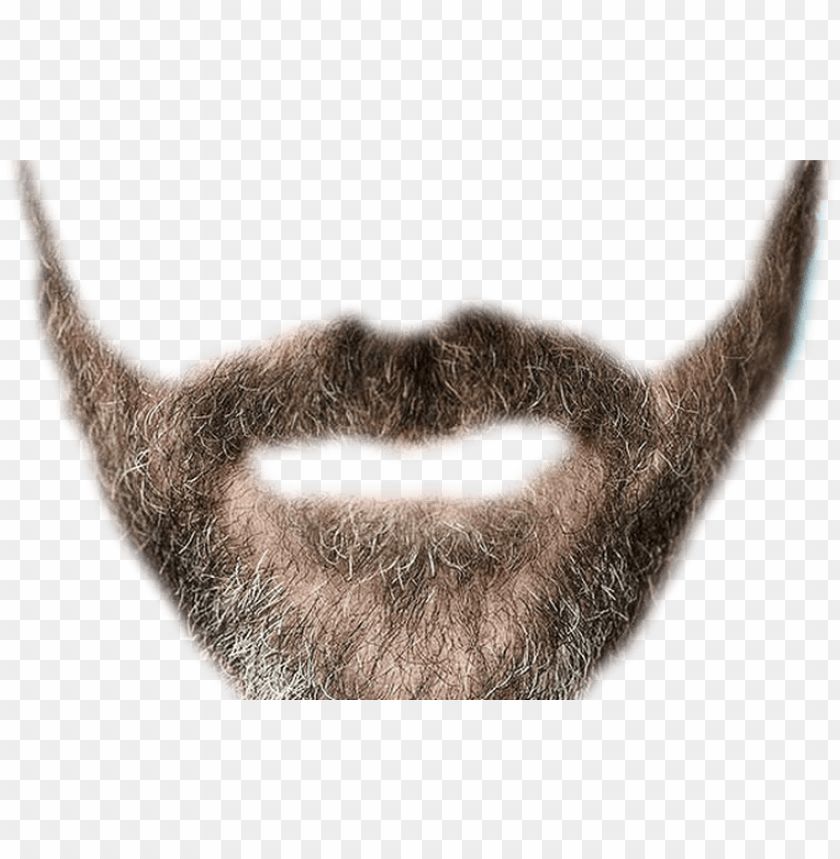 Free download | HD PNG realistic mustache transparent background much ...