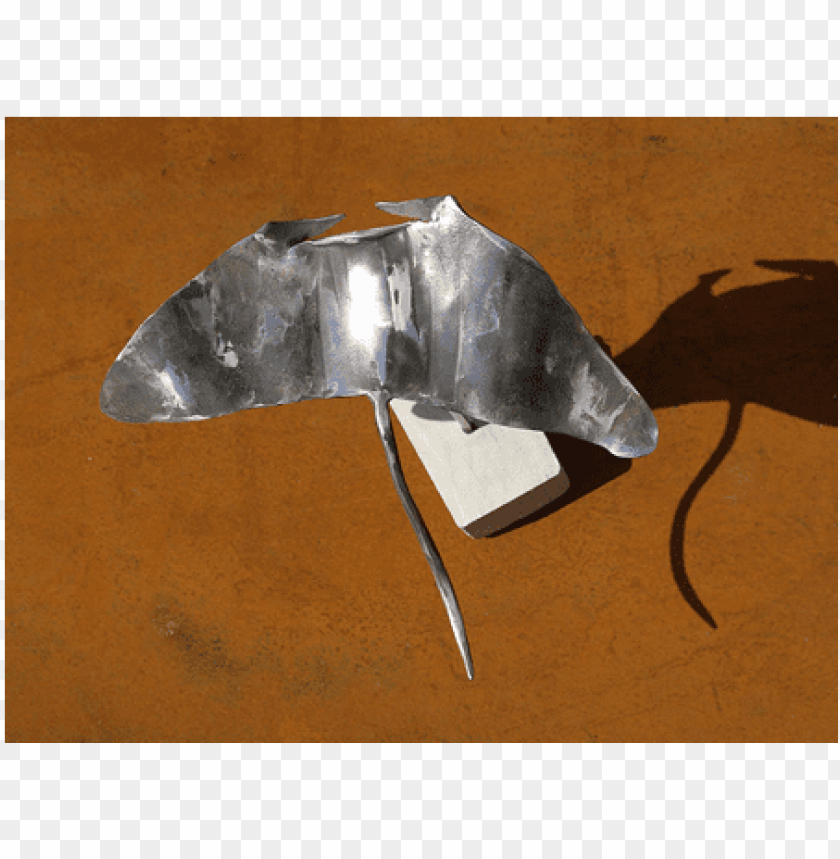 Free download | HD PNG rebate plane PNG transparent with Clear ...