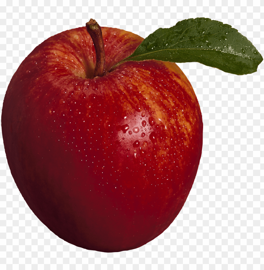 Free download | HD PNG shiny dark red apple with natural stem png | TOPpng