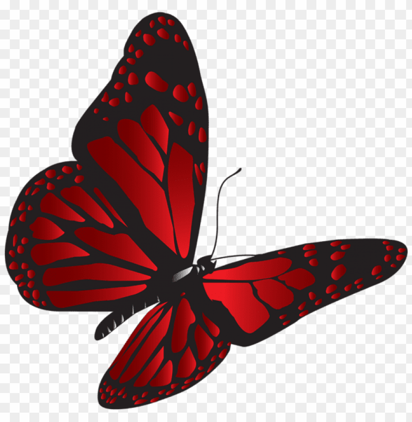 Download red butterfly png clipart png photo | TOPpng