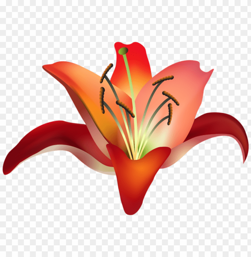 Free download | HD PNG PNG image of red flower with a clear background ...