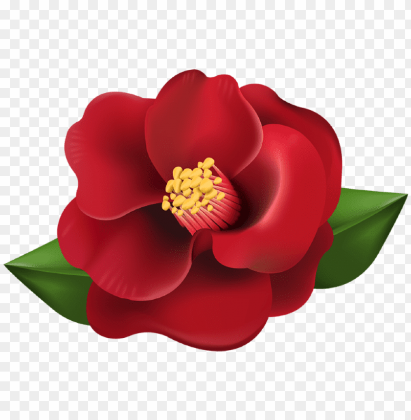 Free download | HD PNG PNG image of red flower transparent with a clear ...