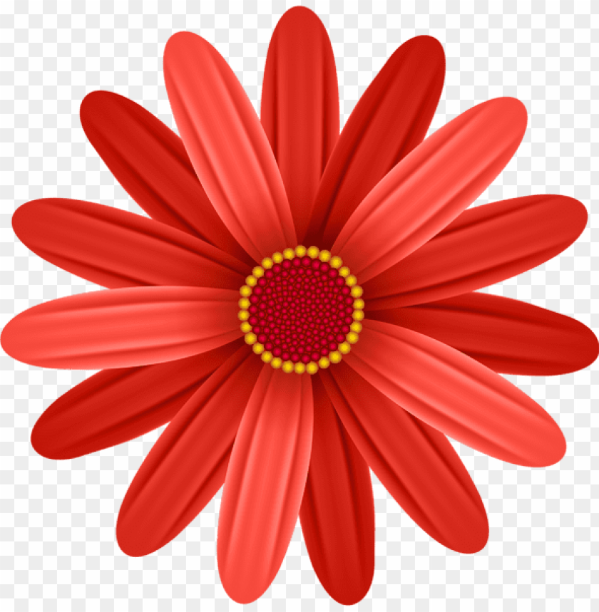 Free download | HD PNG PNG image of red flower transparent with a clear ...
