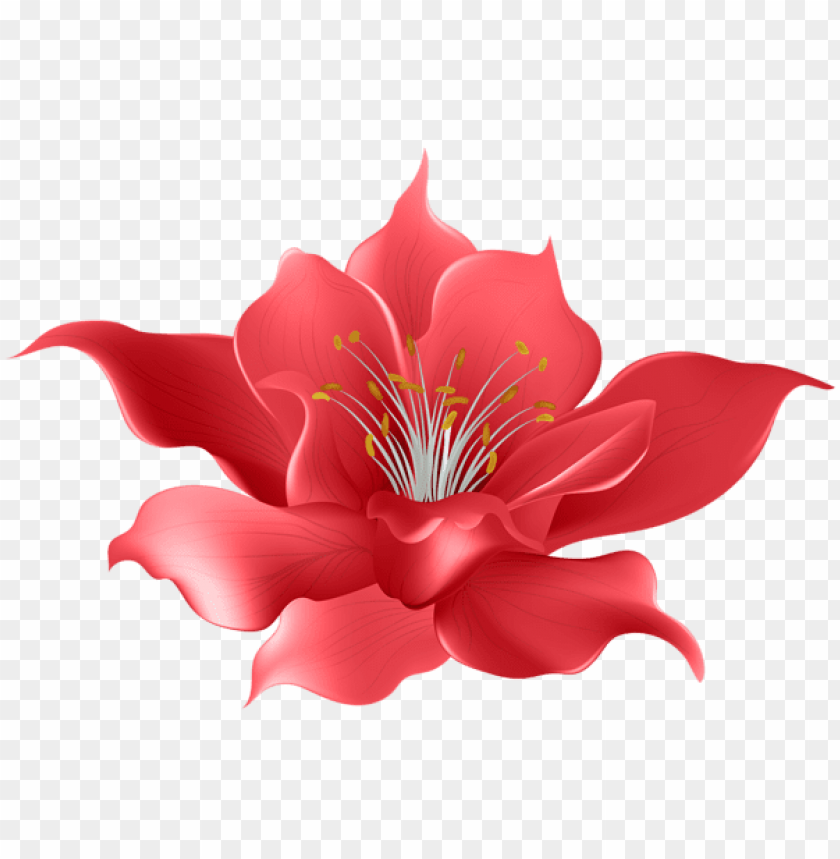 Free download | HD PNG PNG image of red flower transparent with a clear ...