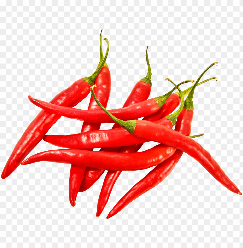 Free download | HD PNG red pepper PNG images with transparent ...
