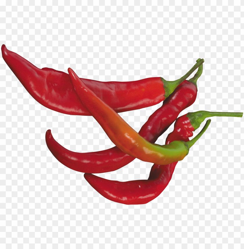 Free download | HD PNG red pepper PNG images with transparent ...