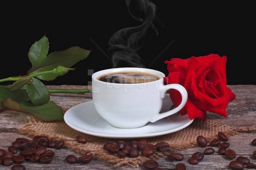 Free download | HD PNG red rose with coffee cup 4k romantic wallpaper ...