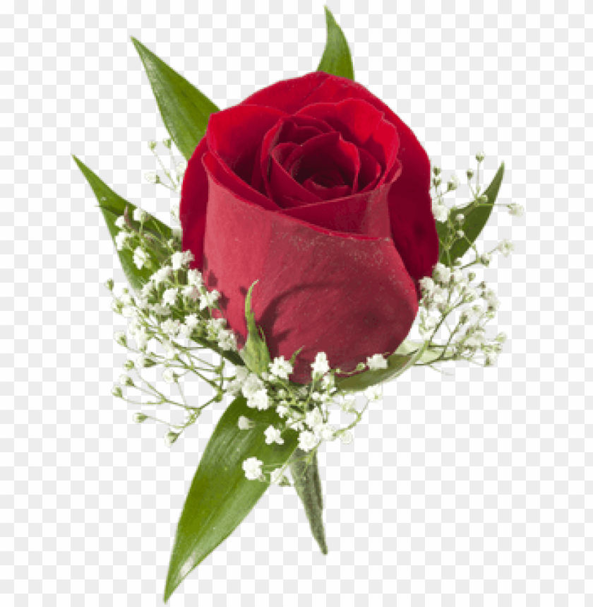 Free download | HD PNG red rose boutonniere colonial house of flowers ...