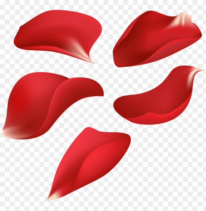 Free download | HD PNG PNG image of red rose petals transparent with a ...