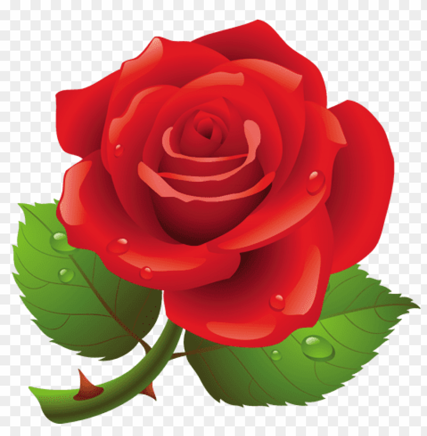 Free download | HD PNG PNG image of red rose png art picture with a ...