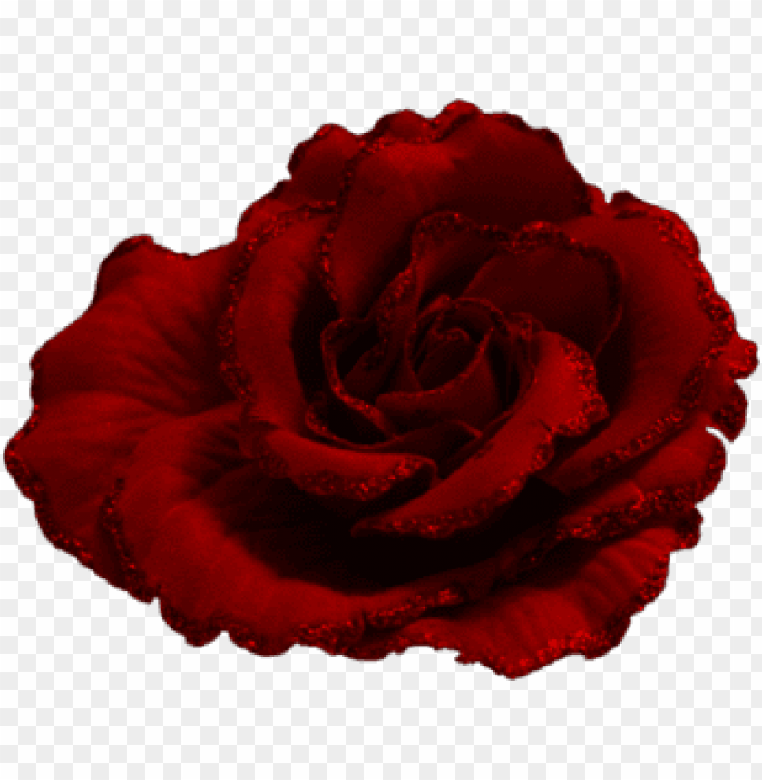Free download | HD PNG PNG image of red rose with brokatpicture with a ...