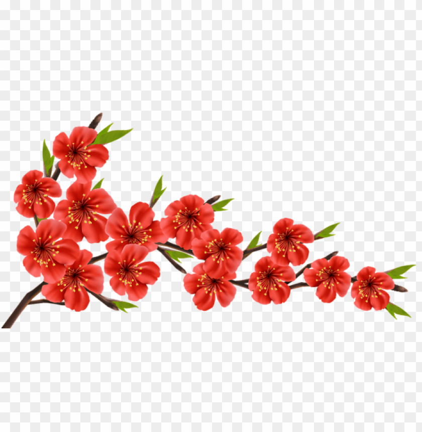 Free download | HD PNG PNG image of red spring branch with a clear ...