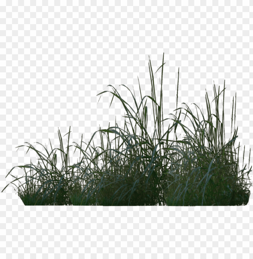 Download rendered in poser pro 2012 please download for full ...