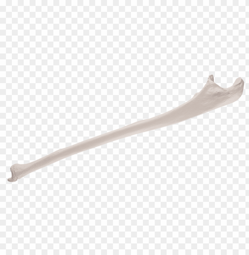 Free download | HD PNG Transparent background PNG image of replica ...
