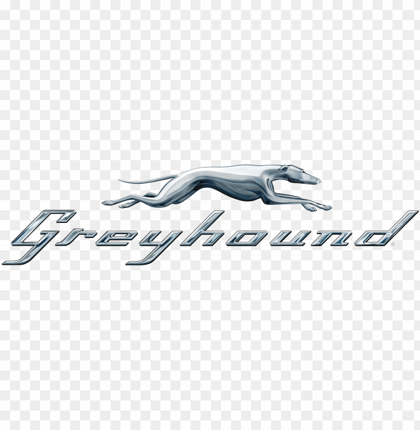 Free download | HD PNG reyhound logo greyhound bus logo PNG transparent ...