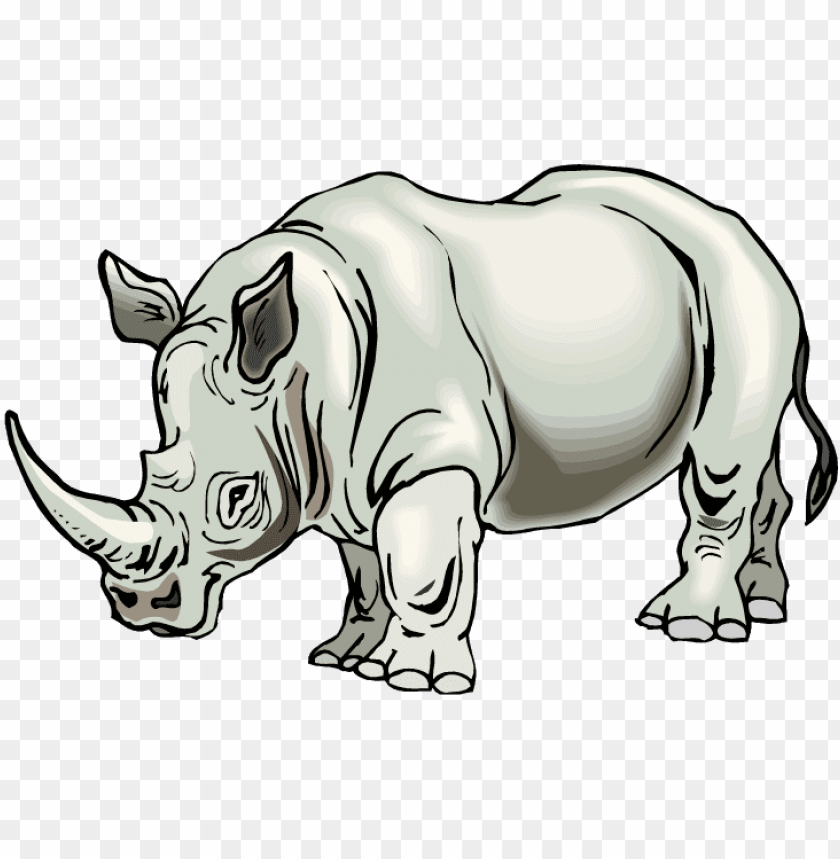 Free download | HD PNG rhino 16 rhino clipart PNG transparent with ...