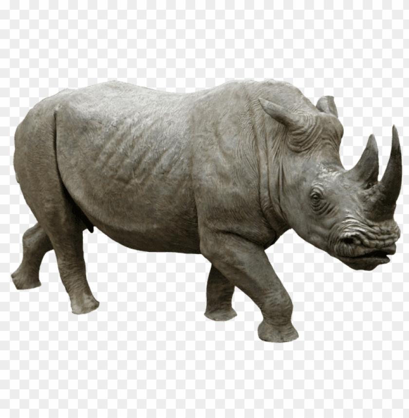Free download | HD PNG rhino running png images background - Image ID ...