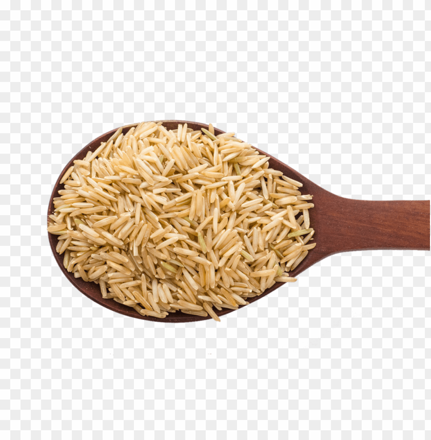 Free download | HD PNG spoon of uncooked brown rice png PNG images with ...