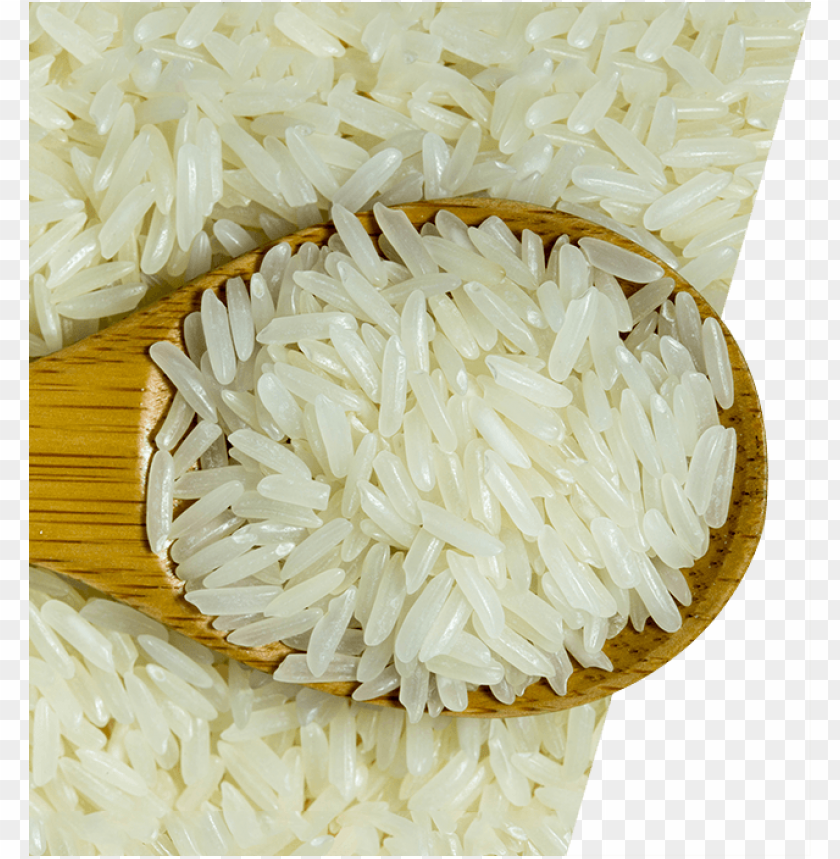 Free download | HD PNG rice download png PNG images with transparent ...