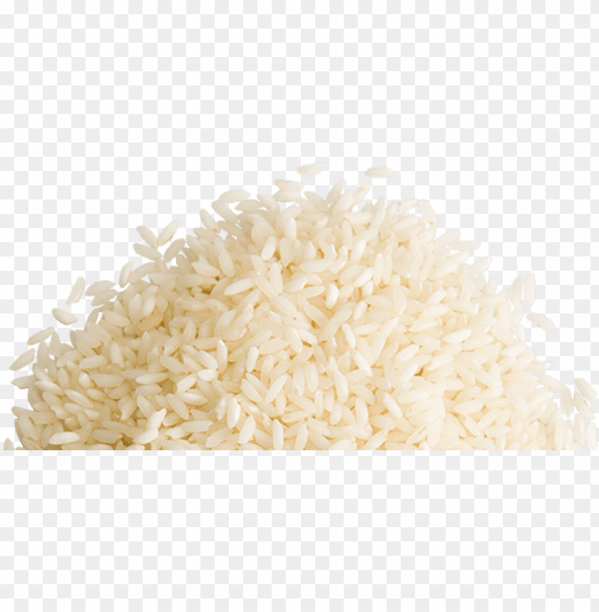 Free download | HD PNG rice grains PNG transparent with Clear ...