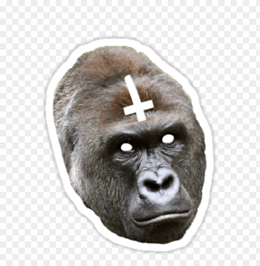 Free download | HD PNG rip harambe sticker PNG transparent with Clear ...