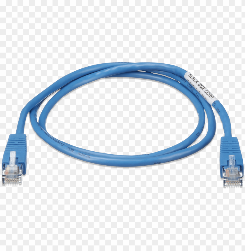 Free download | HD PNG rj12 utp cable utp cable PNG transparent with ...