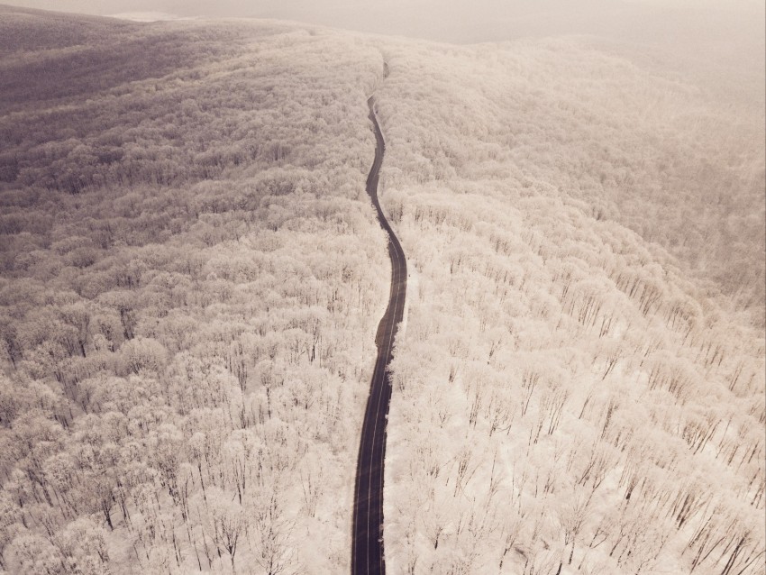 Free download | HD PNG road aerial view winter snow forest trees 4k ...