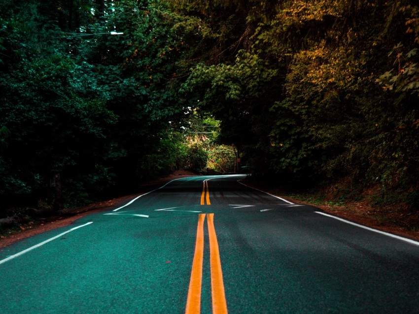 Free download | HD PNG road marking turn trees asphalt 4k wallpaper ...
