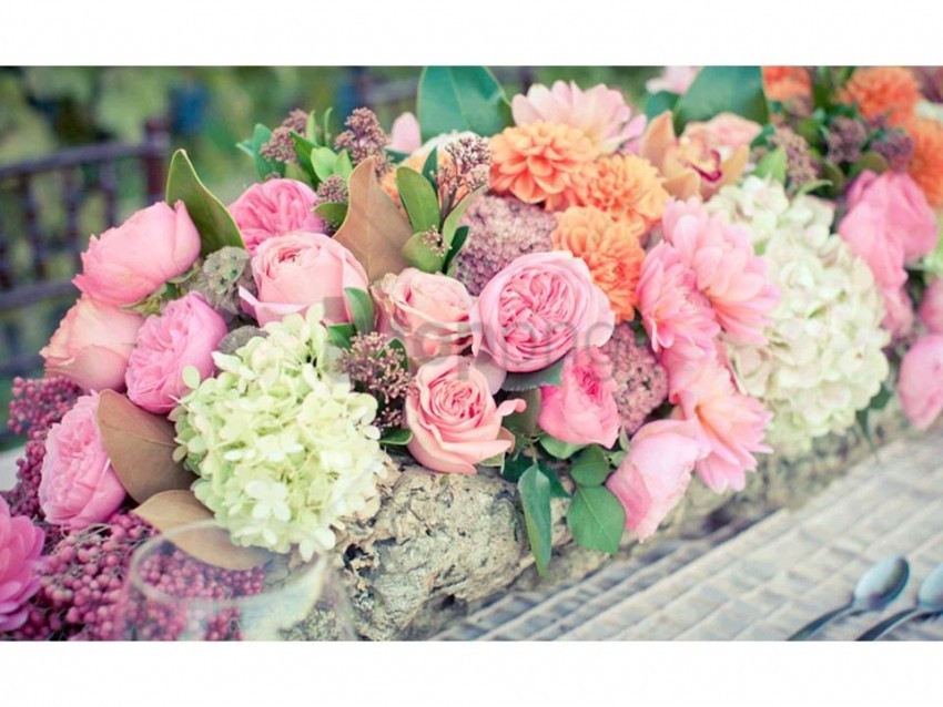 Free download | HD PNG romantic colors background best stock photos ...