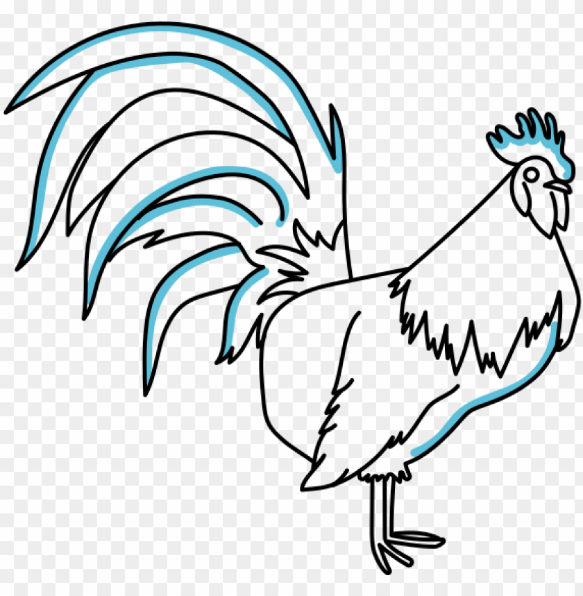 Free download | HD PNG rooster croquis de un gallo PNG transparent with ...