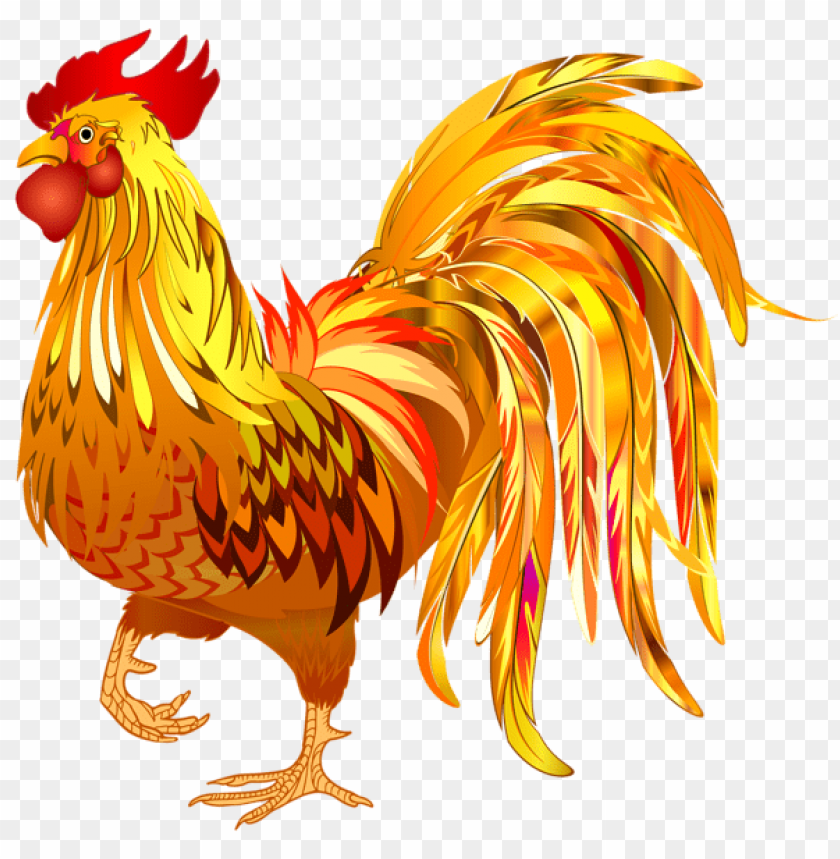 Free download | HD PNG rooster transparent | TOPpng