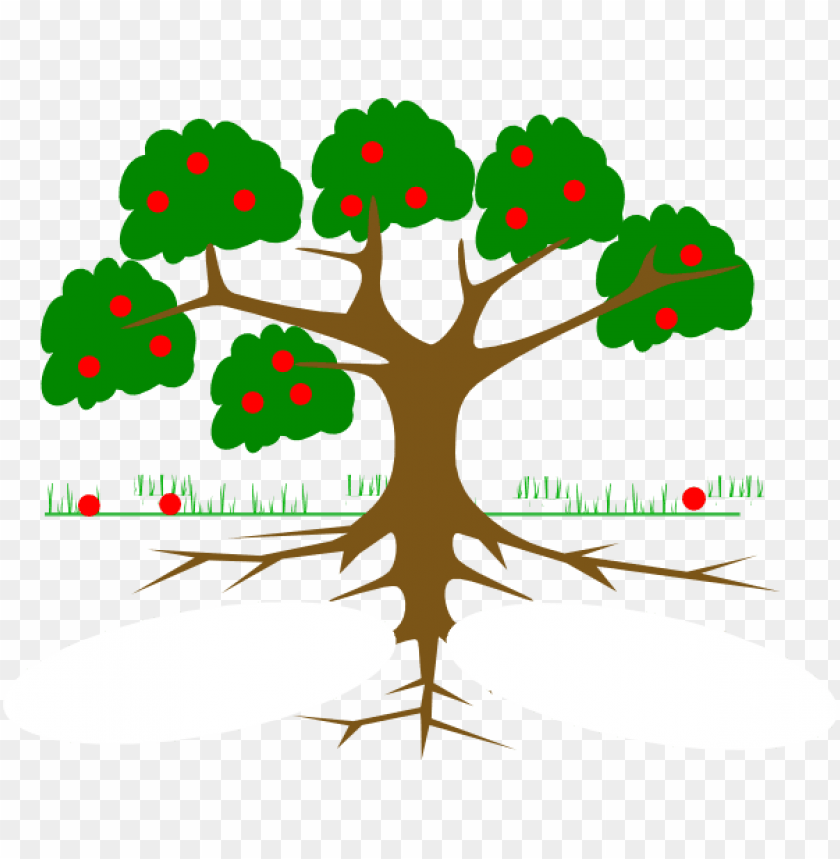 Free download | HD PNG roots clipart tree png fruit tree with roots ...