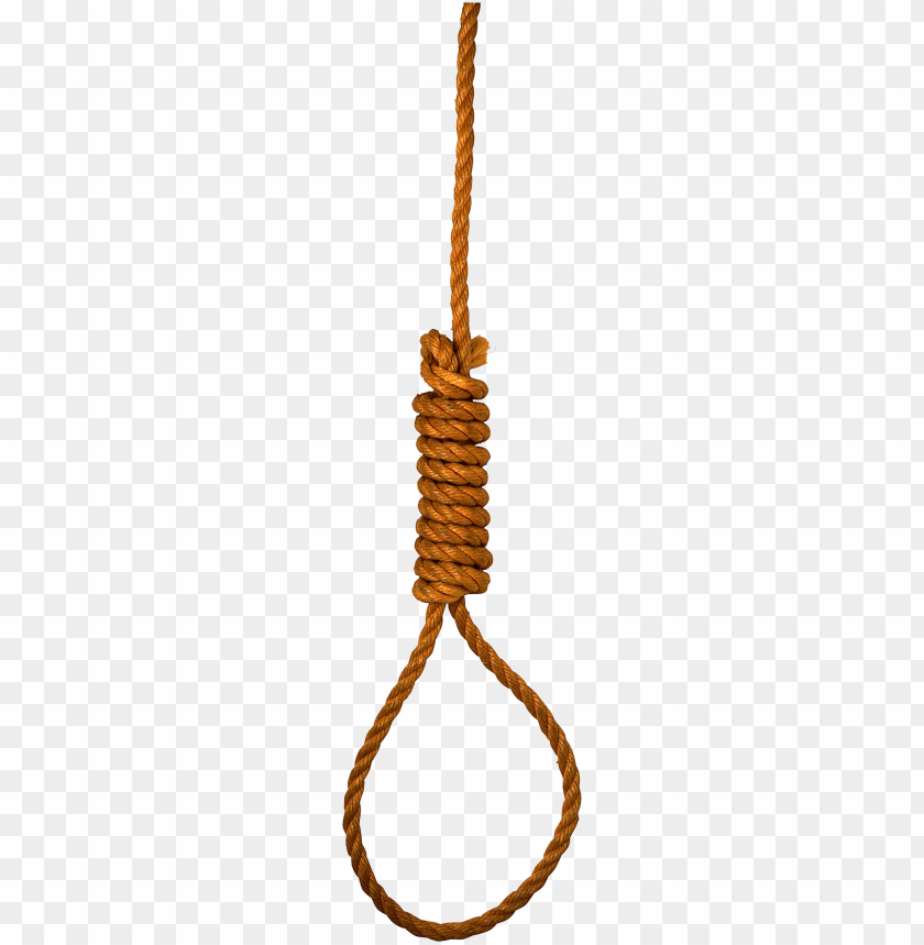 Free download | HD PNG Transparent Background PNG of rope - Image ID ...